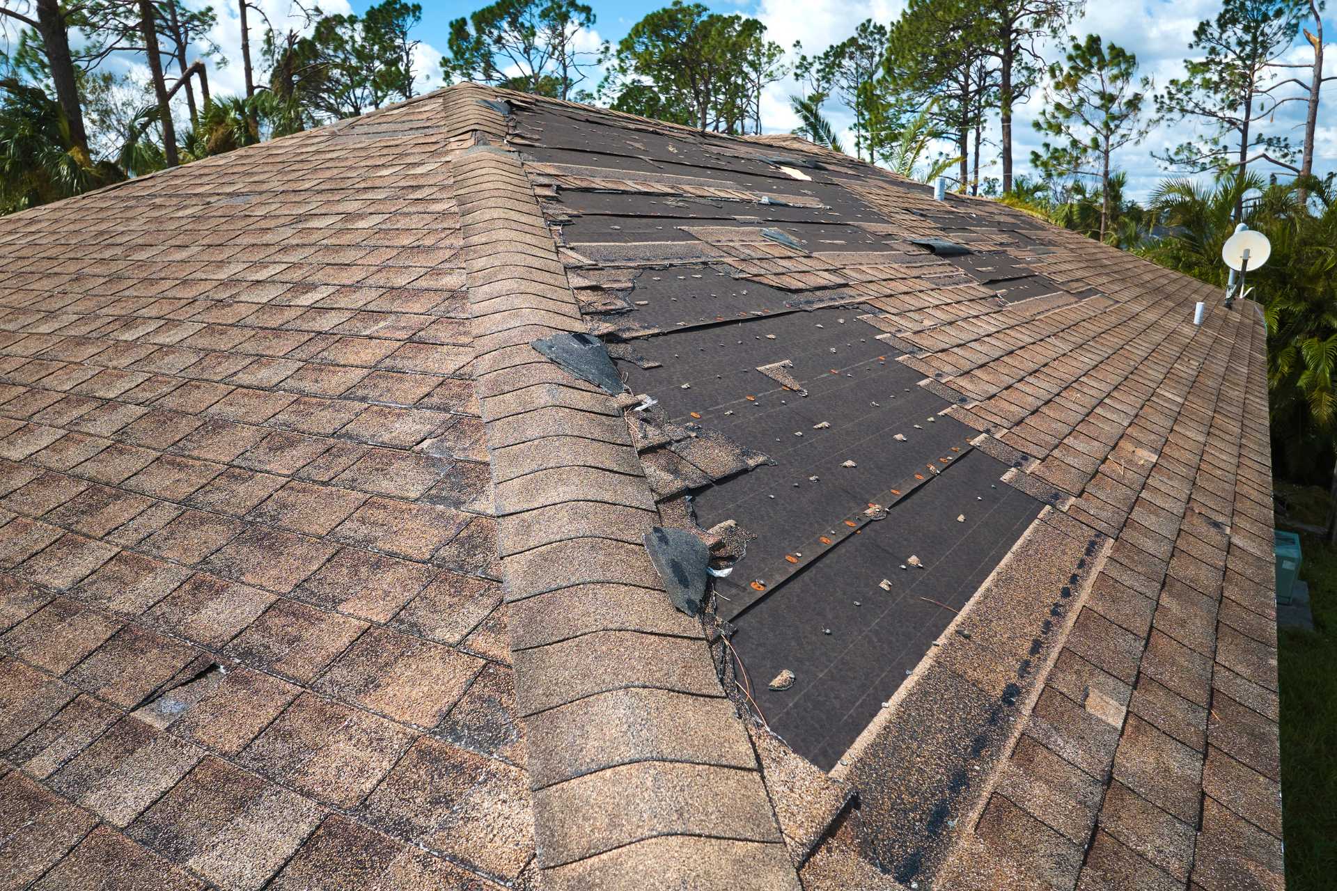 How to Spot Roof Damage Before It Becomes a Major Problem - Consumer Info